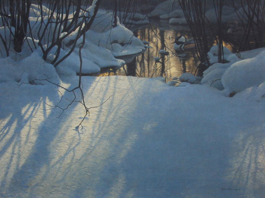 Robert Bateman Winter Pond Merganser Collectible Print Limited Edition ...