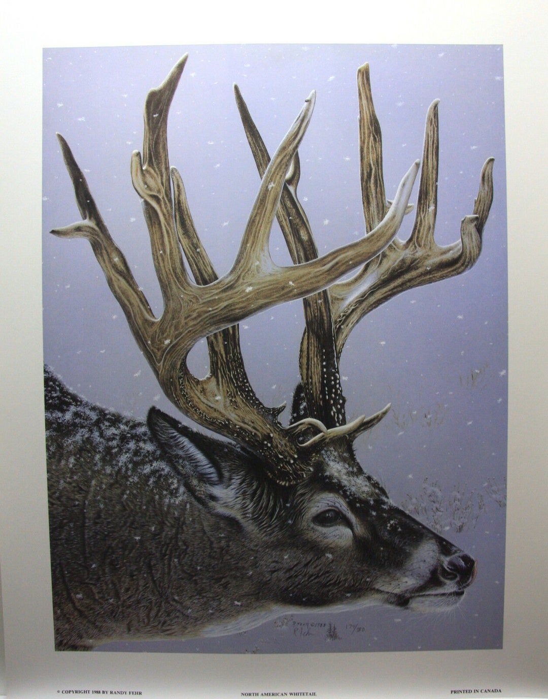 Randy FEHR " North American Whitetail " Limited Edition RARE Print ...