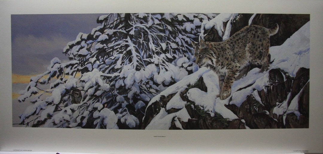 Janene GRENDE Who's Watching Limited Edition Print Signed & Numbered ...