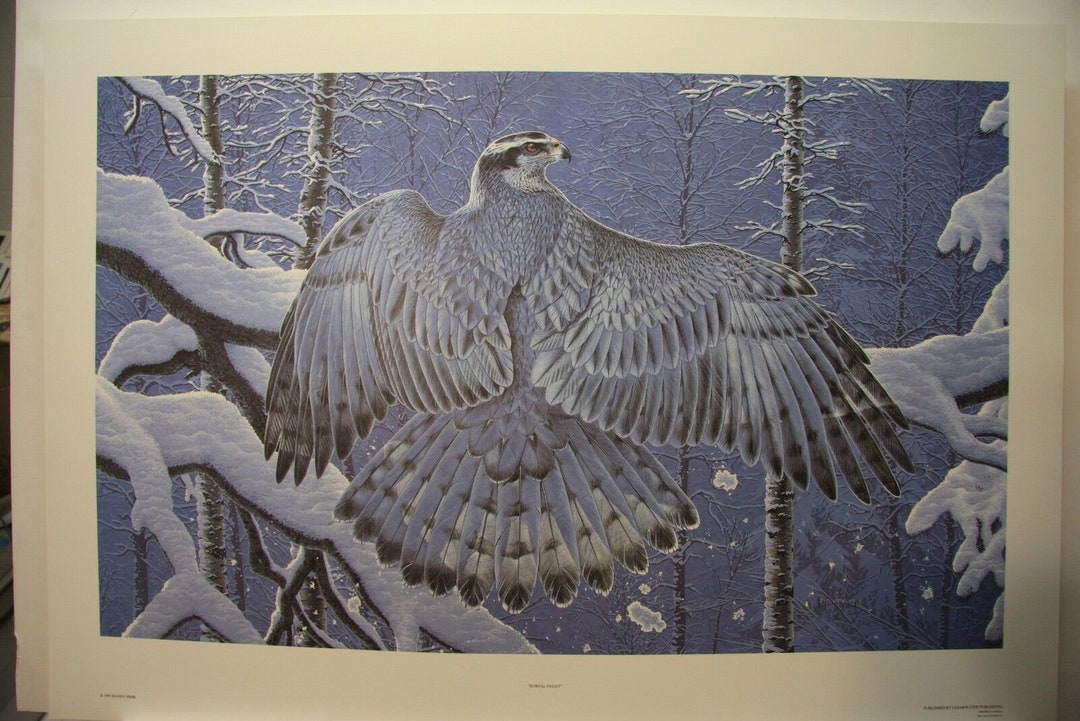 Randy FEHR " Boreal Ghost " Limited Edition RARE Print Signed ...