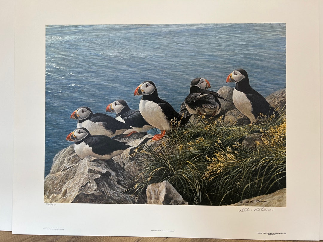Robert Bateman bright Day Atlantic Puffins Collectible Print Limited ...