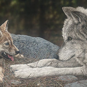 JUDY LARSON " the Lesson " Limited Edition Signed & Numbered CANVAS ...