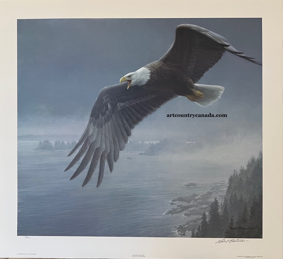 Robert Bateman on the Wing - Bald Eagle Collectible Print Limited ...