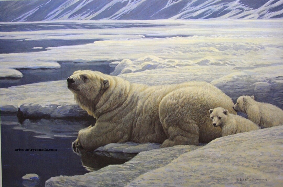 Robert Bateman Arctic Family-polar Bears Giclee Canvas RARE - Etsy
