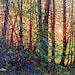 Tim PACKER " Tangled Forest " Limited Edition Canvas Giclee Rare Signed ...