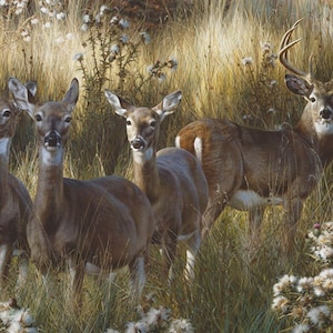 Carl BRENDERS "power and Grace" Limited Edition Signed & Numbered ...