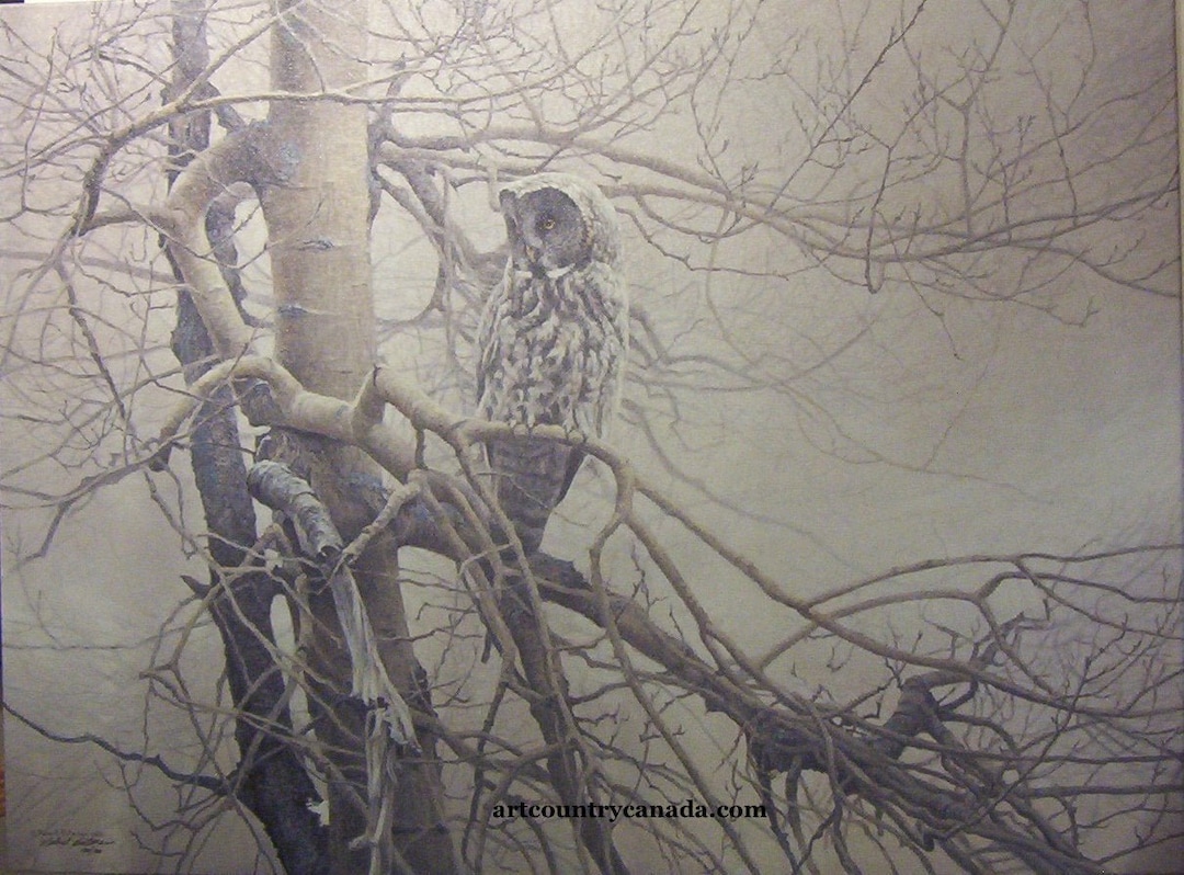 Robert Bateman Ghost of the North – Great Gray Owl Giclee Canvas RARE ...