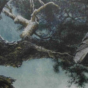 Robert BATEMAN Original LITHOGRAPH "goshawk" Hawk LTD Signed Numbered ...