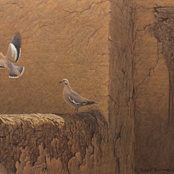Robert Bateman Bird Print - Etsy