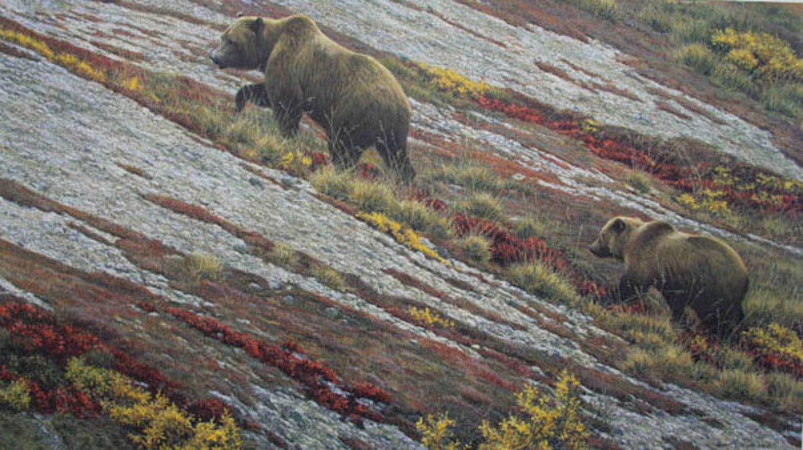 Robert Bateman Alaskan Autumn Grizzly Bears Print RARE - Etsy