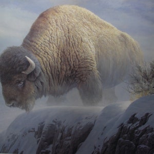 Robert Bateman Winter Bison Collectible Print Limited Edition Signed ...