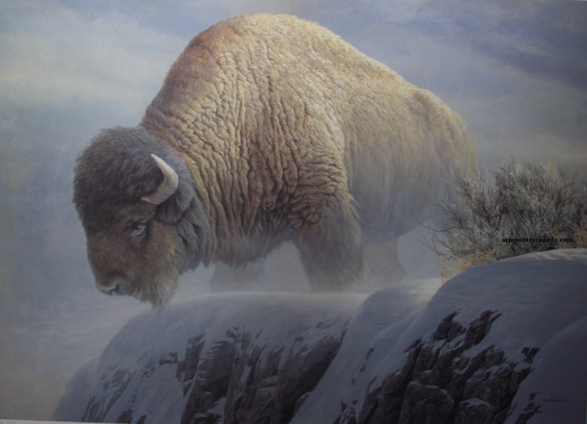 Robert Bateman Winter Bison Giclee Canvas RARE Limited | Etsy