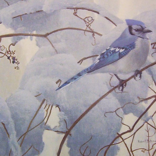 Robert Bateman Bird Print - Etsy