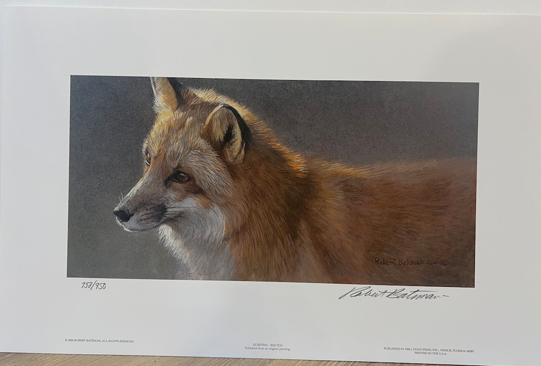 Robert Bateman Questing Red Fox Collectible Print Limited Edition Signed & Numbered Art Clever ...