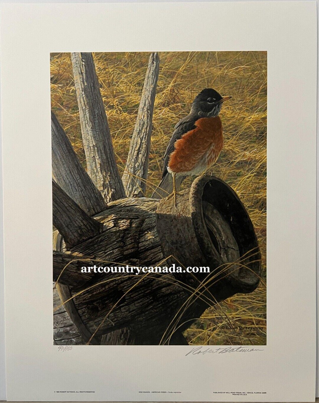 Robert Bateman " New Season American Robin " Collectible Print Limited ...