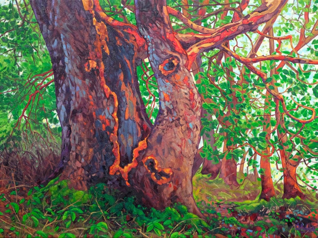 DOMINIK MODLINSKI 30x40 " the Ancient One " Signed & Numbered Limited ...