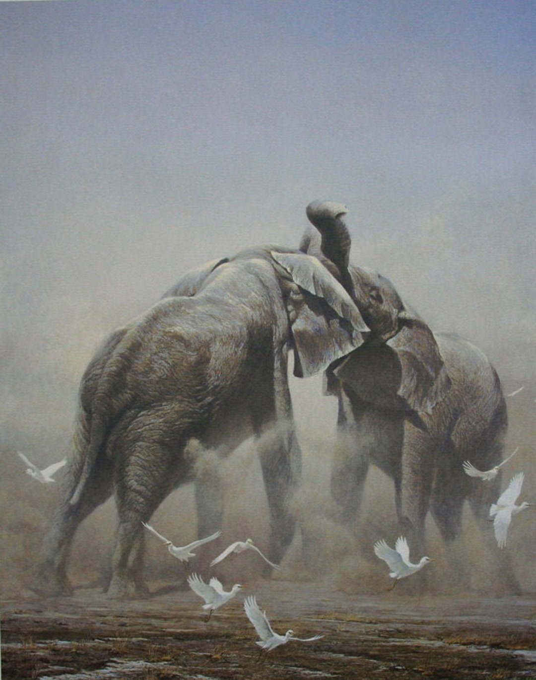 Robert Bateman Sparring Elephants Collectible Limited Edition Signed ...