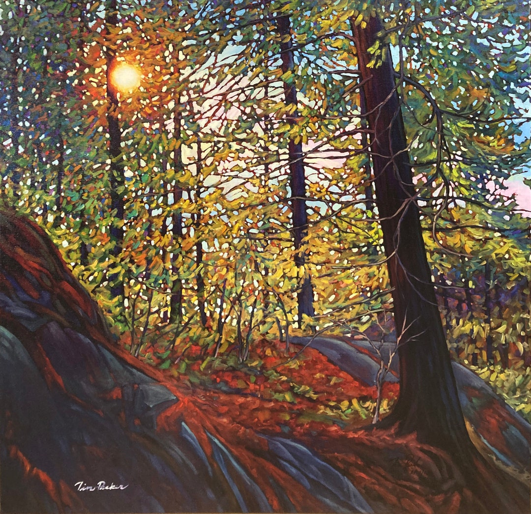 Tim PACKER " Golden Light of Spring" Limited Edition Canvas Giclee Rare ...