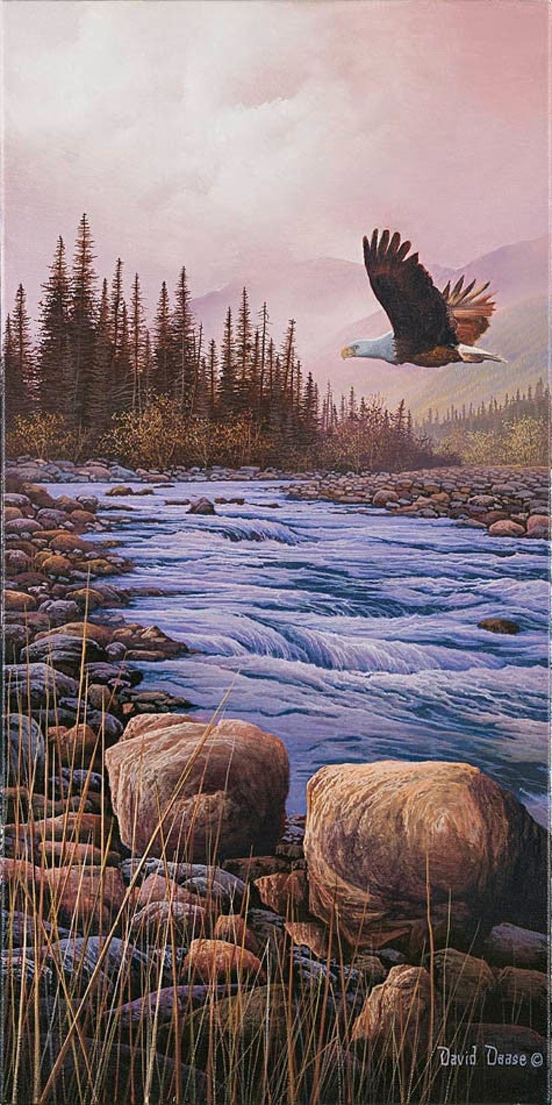 David DAASE " Bald Eagle Along the Banks " Giclee Canvas Limited ...