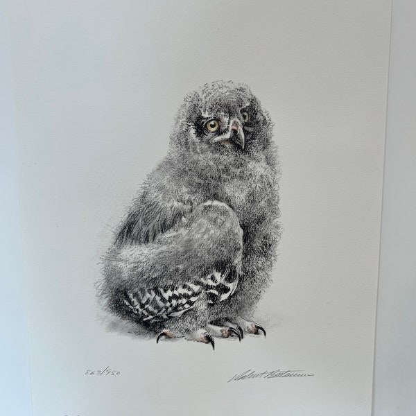Bateman Robert Prints Owl Art - Etsy