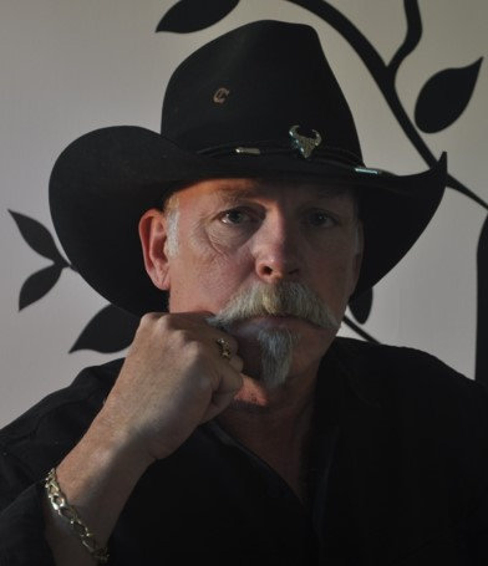 Cougar Kit by Darren Haley Limited Edition Giclee Art Print Signed ...