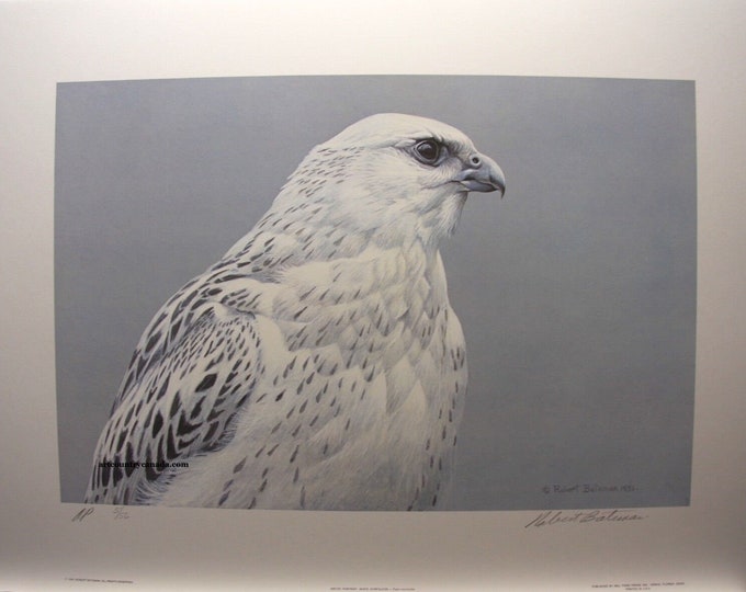 Robert Bateman " Arctic Portrait - White Gyrfalcon " RARE Print Limited ...