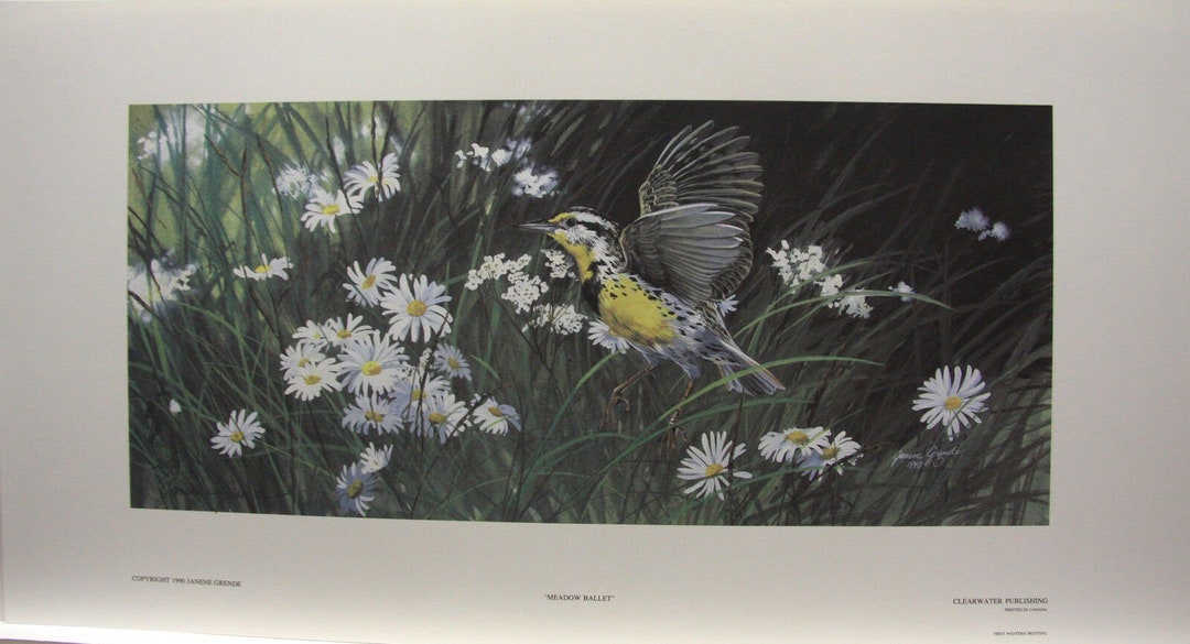 Janene GRENDE " Meadow Ballet " Limited Edition Print Signed & Numbered ...