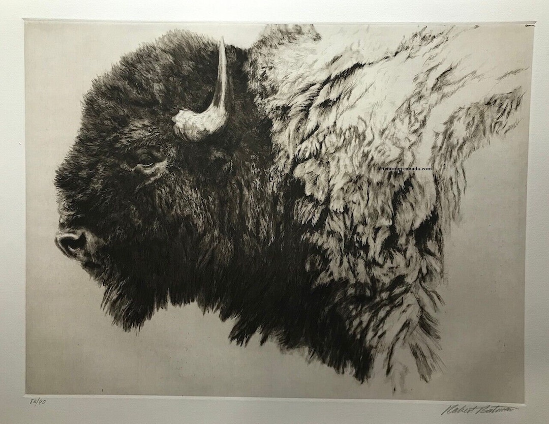 Robert BATEMAN Original LITHOGRAPH Etching Print Bison Hand Painted ...