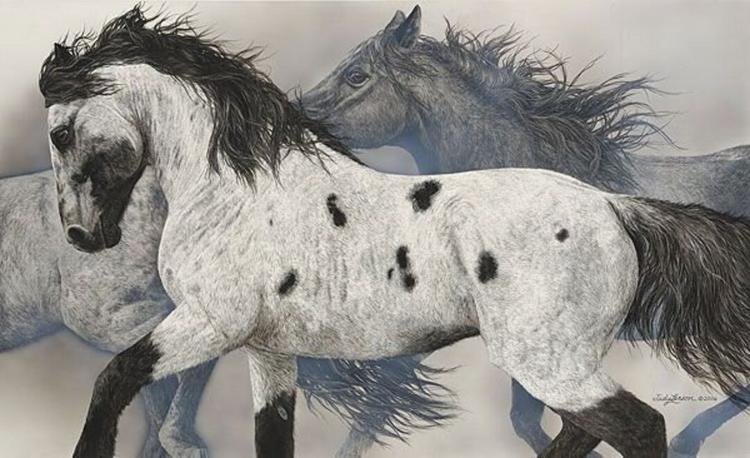 JUDY LARSON " Ghost Wind " Limited Edition Signed & Numbered CANVAS ...