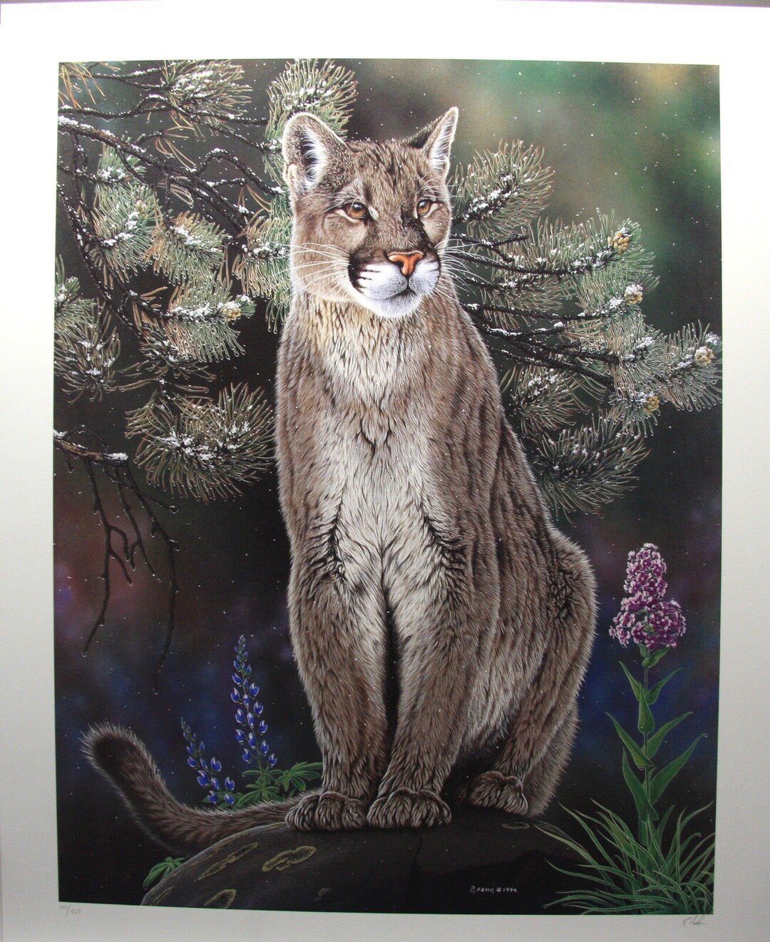 Randy FEHR " Crowsnest Summer " Limited Edition Print Signed & Numbered ...