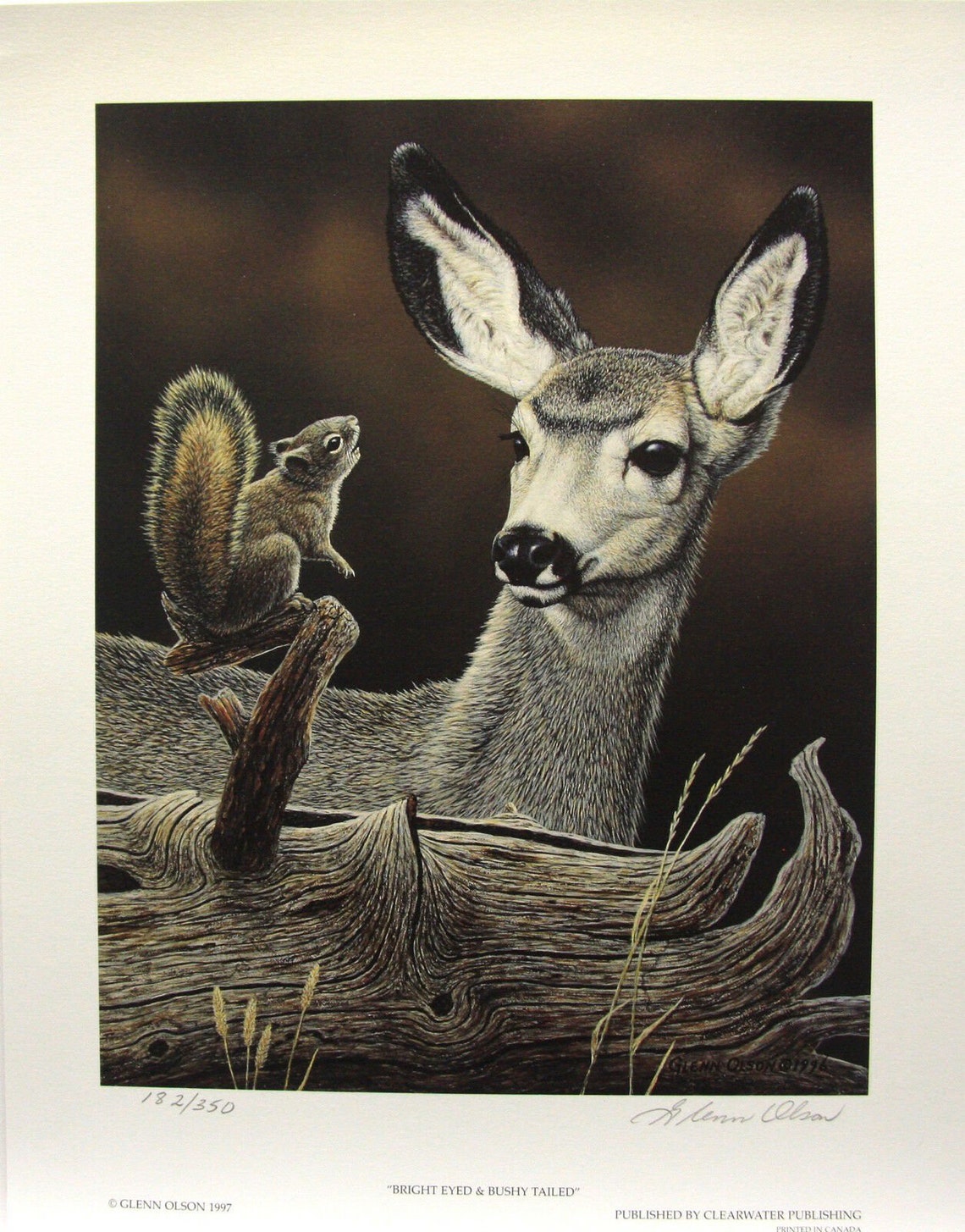 Glenn Olson bright Eyed and Bushy Tailed Limited | Etsy