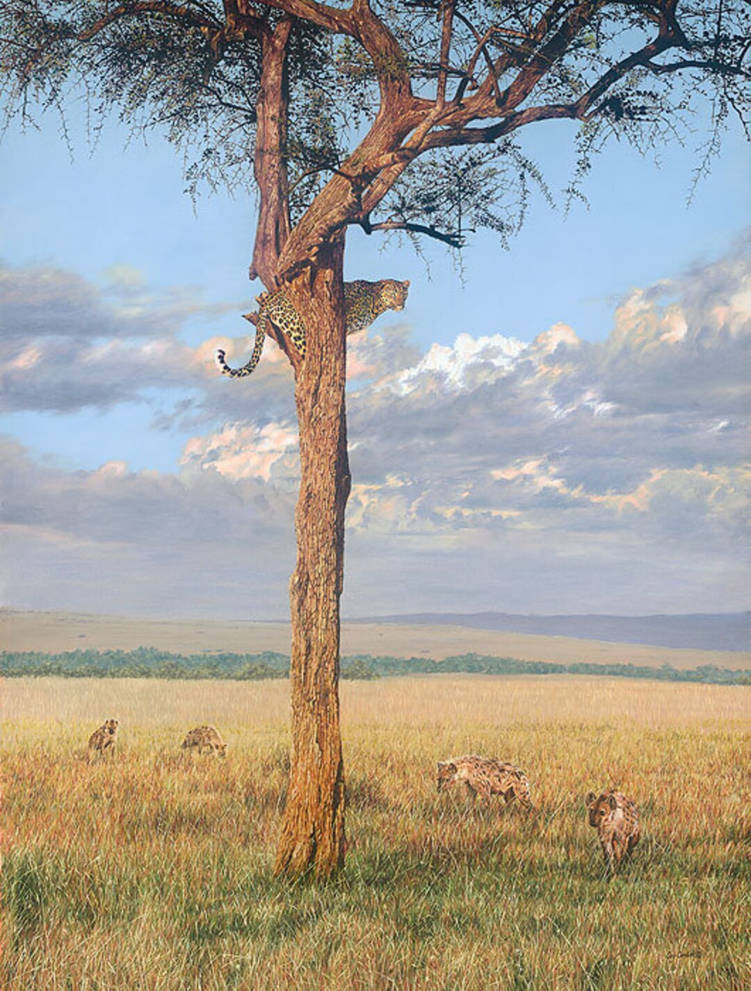 Guy Combes " Sanctuary " Limited Edition Signed & Numbered CANVAS ...