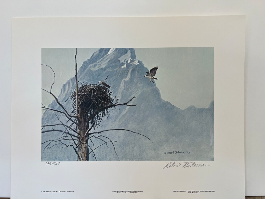 Robert Bateman " in the Mountains Osprey" Print RARE Limited Edition ...