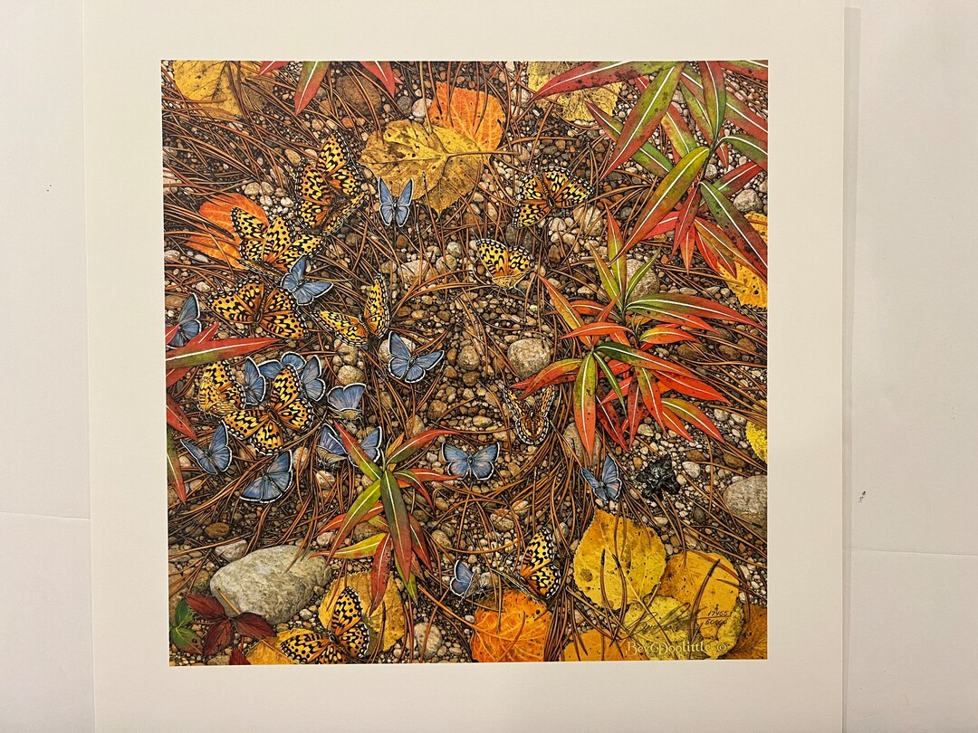 Bev DOOLITTLE " Spirit Takes Flight " Limited Edition Art Print Signed ...