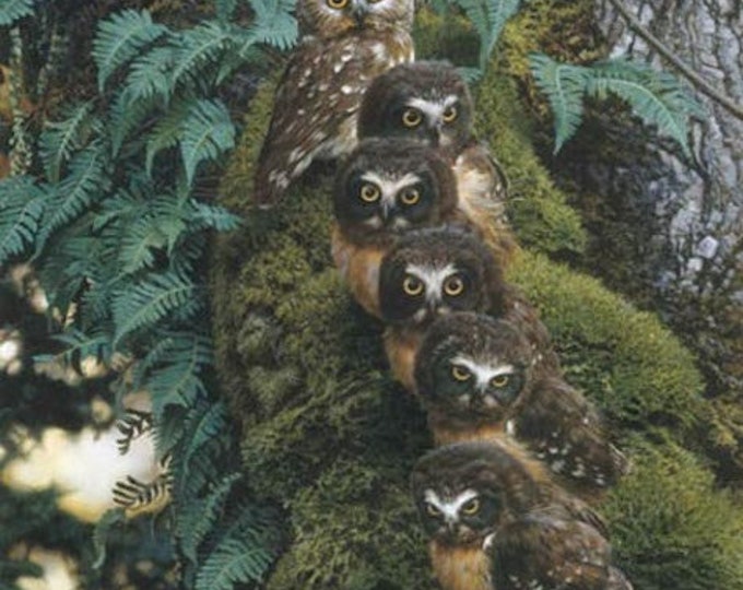 Carl BRENDERS " Family Tree " Limited Edition Signed & Numbered CANVAS ...