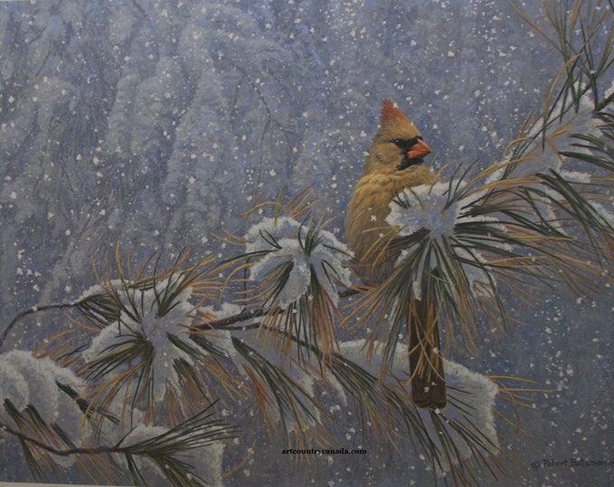 Robert Bateman " Winter Lady " Cardinal Limited Edition Print Very RARE ...