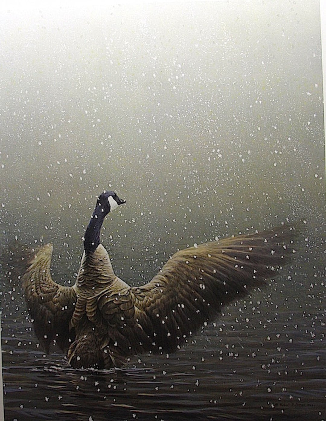 Robert Bateman Stretching -canada Goose Giclee Canvas RARE Limited ...