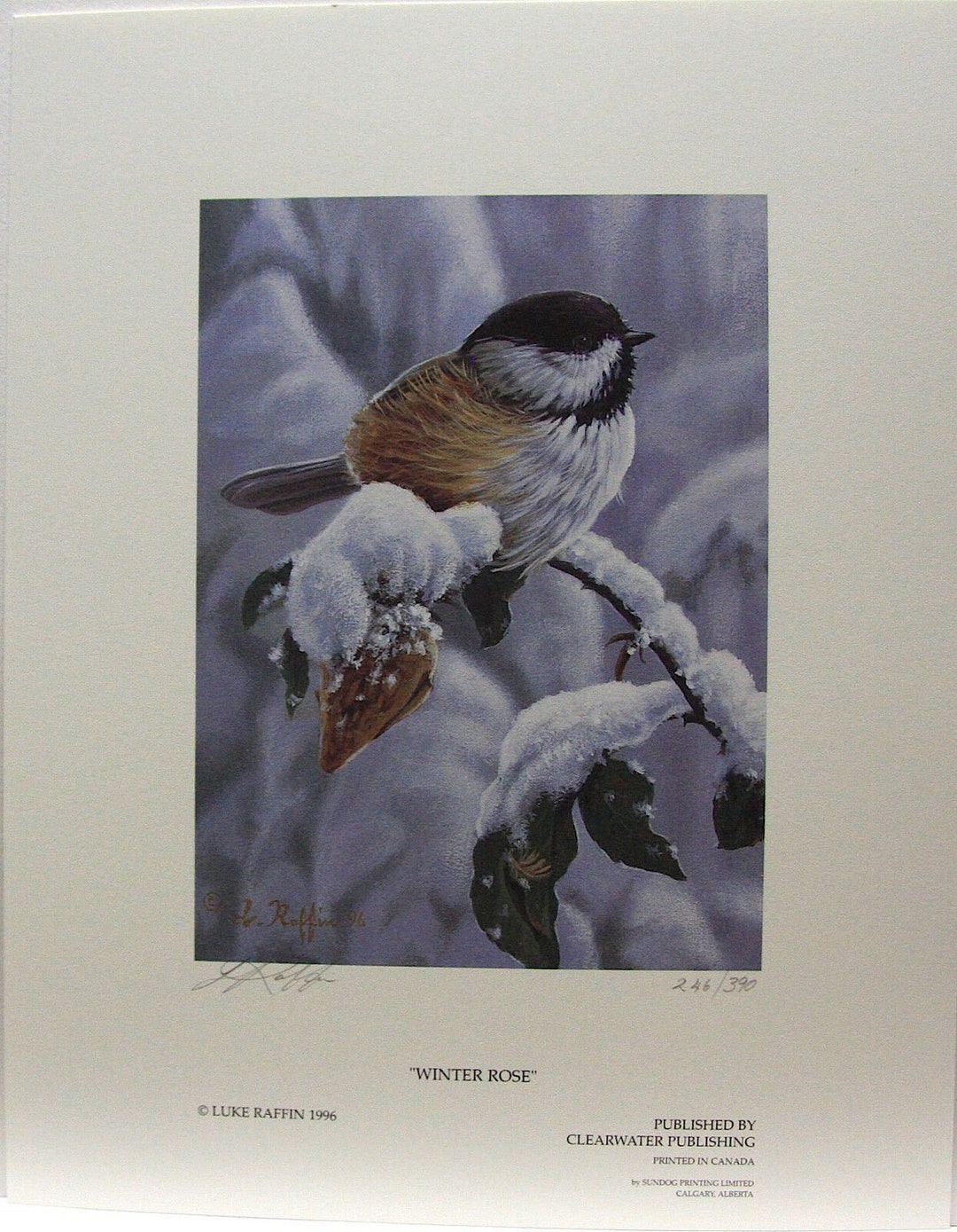 Luke Raffin "winter Rose" Limited Edition RARE Print Signed & Numbered ...