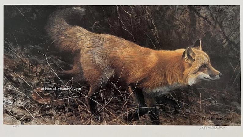 Robert Bateman on the Move Red Fox Print Collectible Limited Edition ...