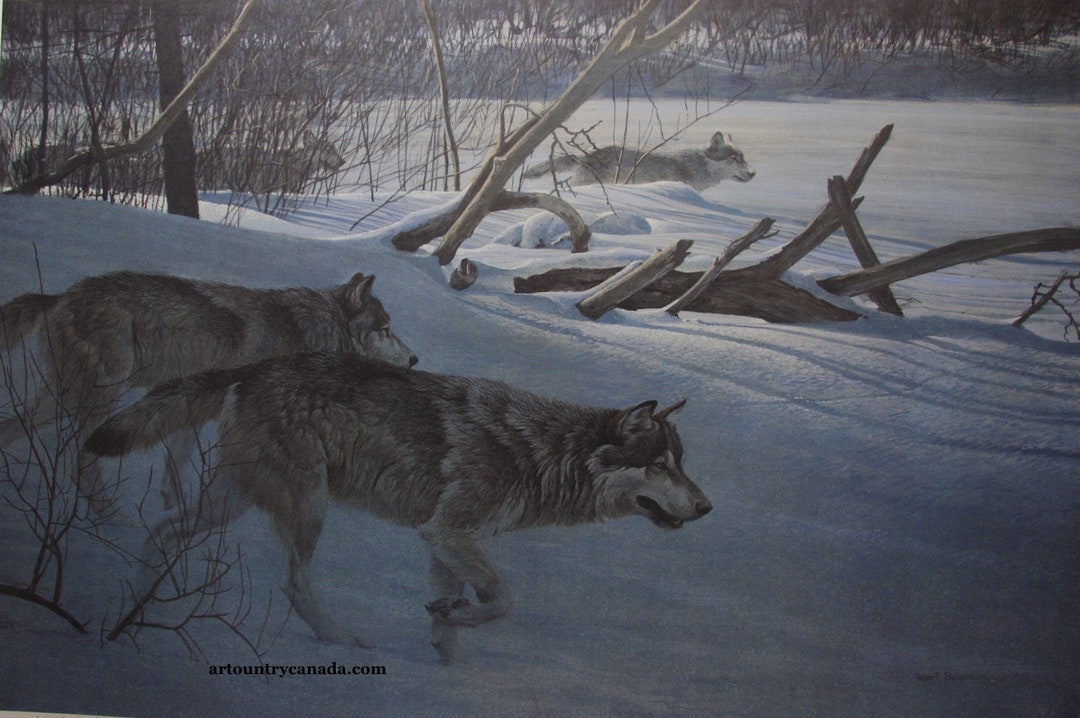 Robert Bateman " Wolf Pack in Moonlight " RARE Timber Canvas Limited ...