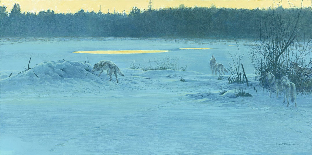 Robert Bateman " Winter Lodge Wolf Pack " RARE Blue Jay Canvas Limited ...