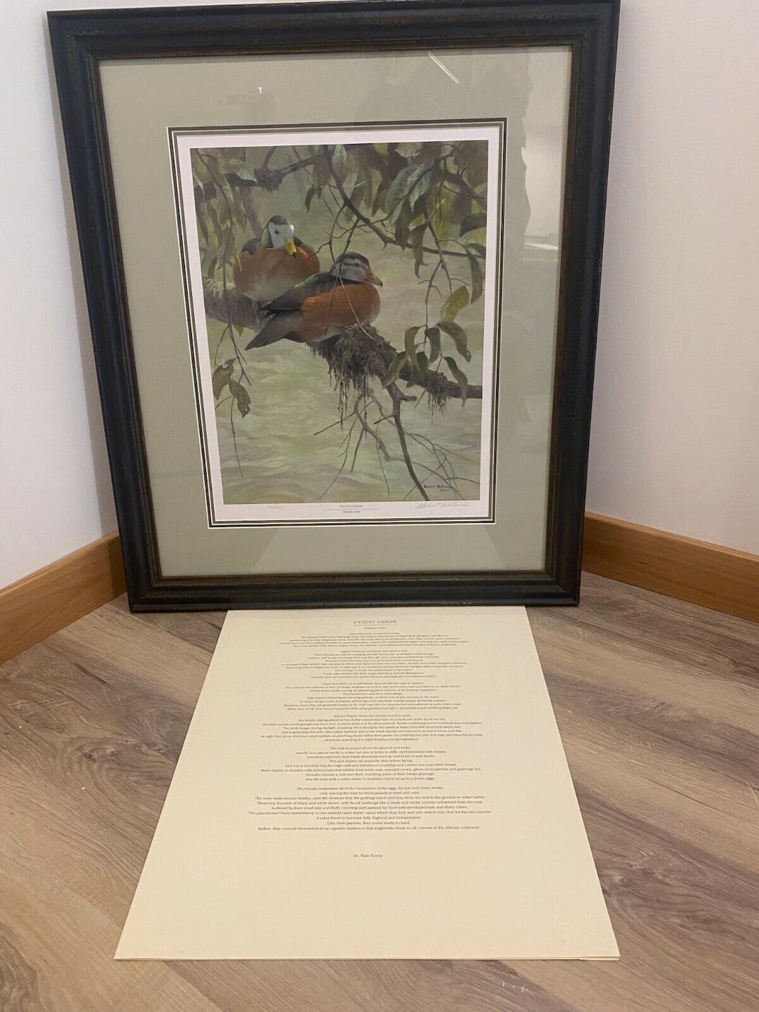 Robert BATEMAN " Pygmy Geese " Signed and Numbered Limited Edition Art ...