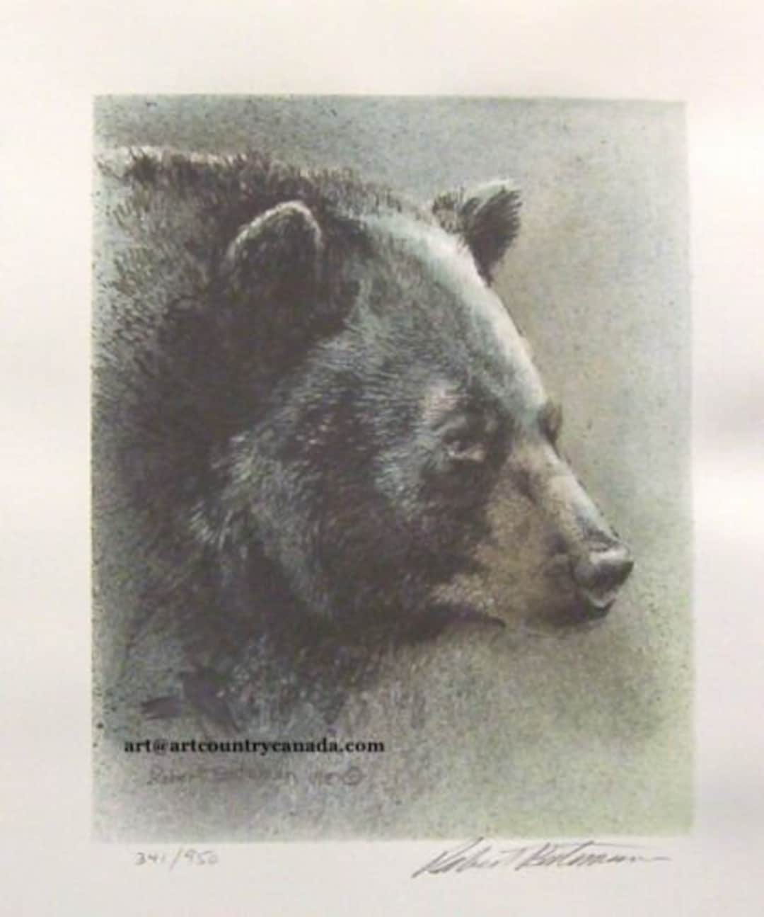 Robert BATEMAN Original LITHOGRAPH "black Bear Predator" 3 Print Art ...