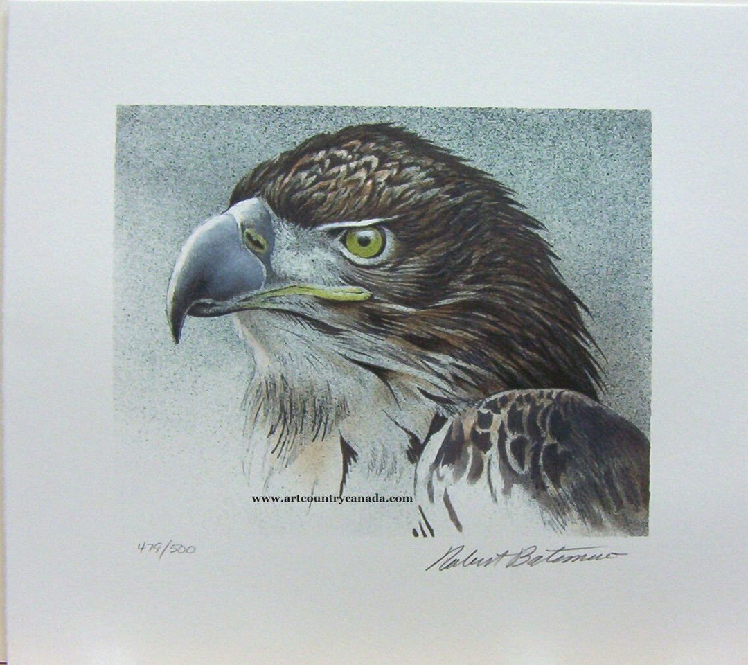 Robert Bateman " Vigilance " RARE Print Limited Edition Signed and ...