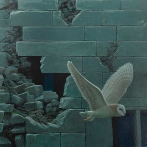 Robert Bateman " Barn Owl at Biddulph Hall " Giclee Canvas Art Signed ...