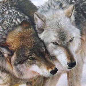 Carl BRENDERS " Cheek to Cheek " Rare Wolves Limited Edition Signed ...