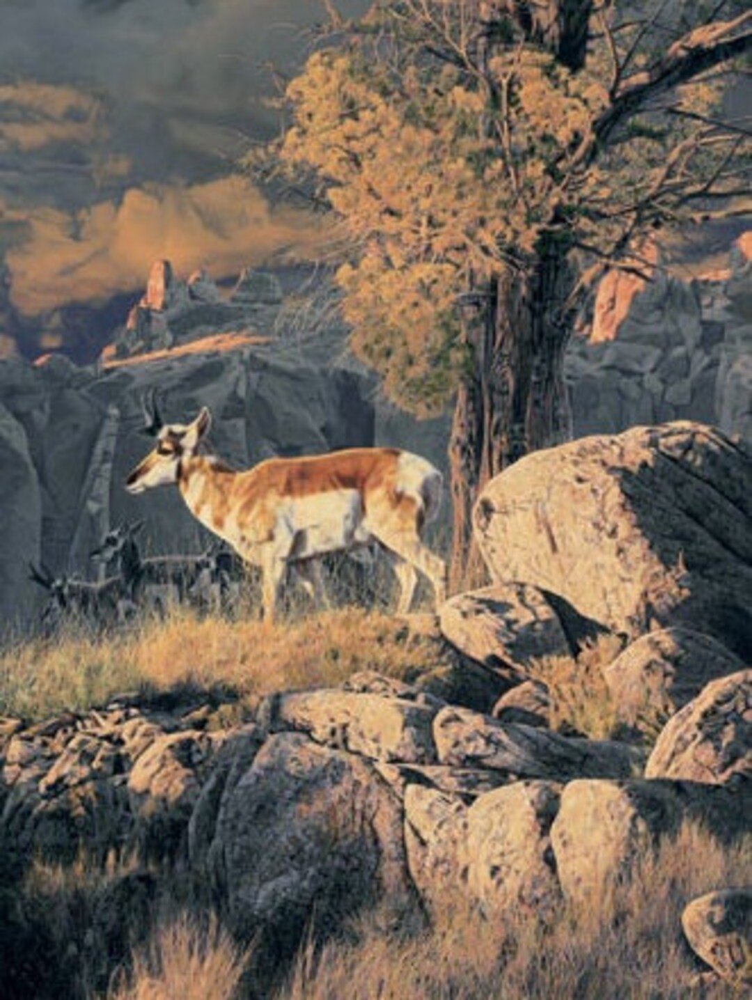 ROD FREDERICK "on the Canyon Rim" Limited Edition Signed & Numbered ...