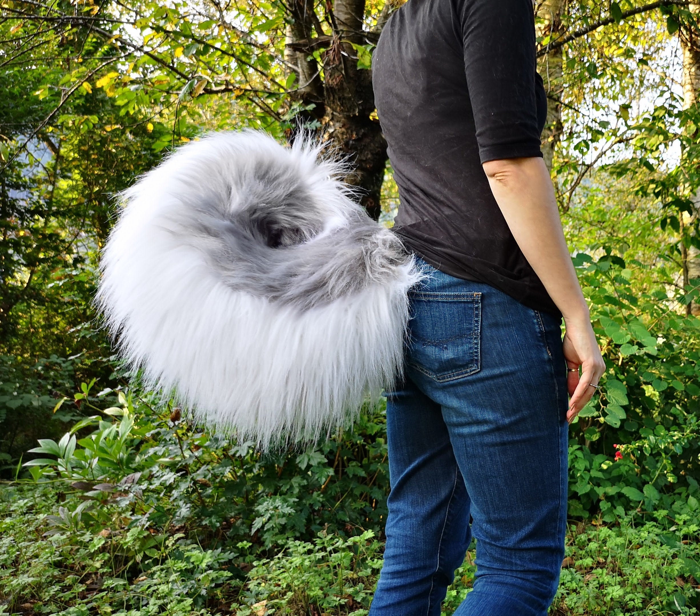 Do All Husky Tails Curl