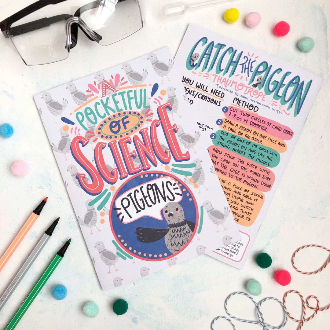 Pigeons 8 Page Pocketful of Science A5 Zine Bird Lover - Etsy UK