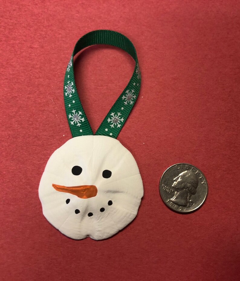 Mini Sand Dollar Snowman Face - Etsy